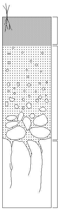 Soil Structure Activity Page